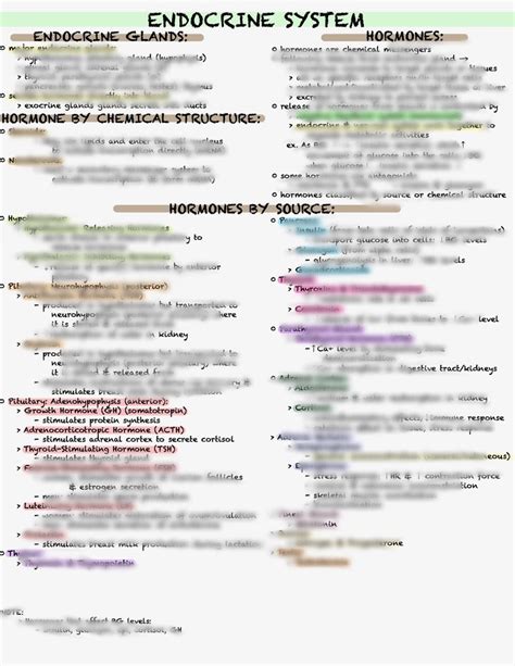 Endocrine System Pathophysiology Rn And Np Etsy