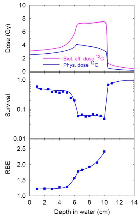 4 Correlation Between Physical And Biological Dose Cell Survival And