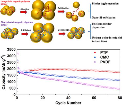 Stabilizing A Si Anode Via An Inorganic Oligomer Binder Enabled By Robust Polar Interfacial