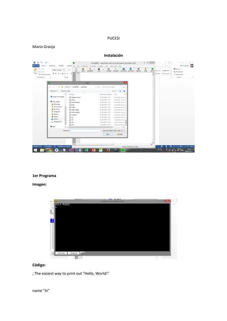 Assembler Pdf