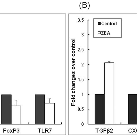 Validation Of Microarray Results By Real Time Rt Pcr Gene Expression
