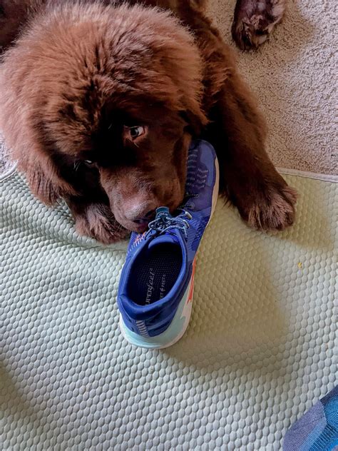 Daily Dose Of Ducky Album On Imgur