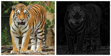 Image Gradient — Sobel Operator Towards Ai