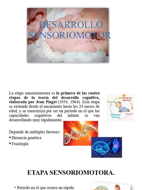 Desarrollo Sensorimotor En Infantes Pdf Pensamiento Ciencia Cognitiva