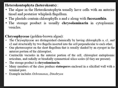 Algae And There Classification Based On Different Features Structure