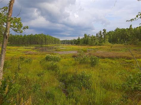 Why Do We Want A Visitor Map For Wharton State Forest Protecting The New Jersey Pinelands And