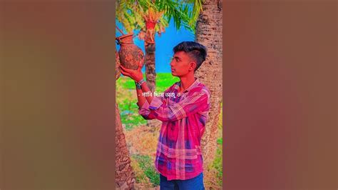 একটি খেজুর গাছের কান্ডে বাঁধা একটি মাটির হাঁড়ি যেখানে ধীরে ধীরে ঝরে পড়ছে মিষ্টি খেজুরের রস