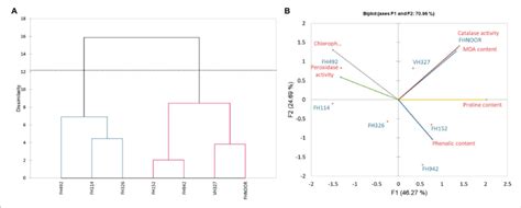 Dendrogram Representing The Clustering A And Biplot Showing Download Scientific Diagram