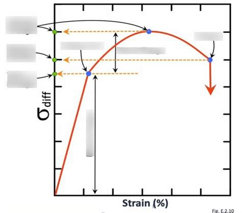 Strain Diagram Diagram Quizlet