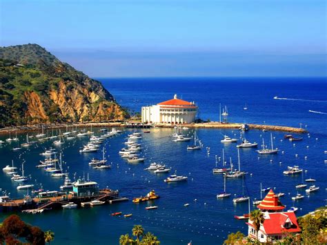 Catalina Island Wallpapers Top Free Catalina Island Backgrounds Wallpaperaccess