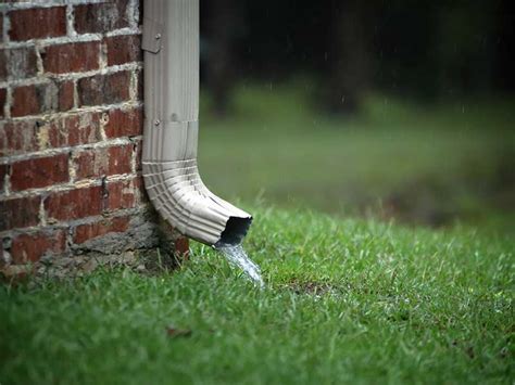 Are You Guilty Of These Gutter Maintenance Mistakes