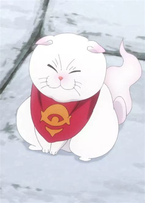 Ayakashi Triangle Recap Anime Reviews Anime Planet