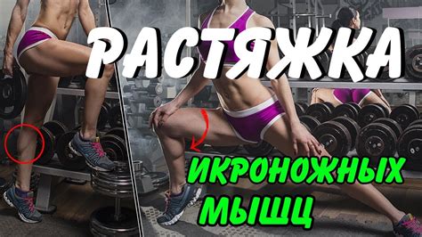 КАК растянуть ИКРОНОЖНЫЕ мышцы Растяжка икроножных мышц после