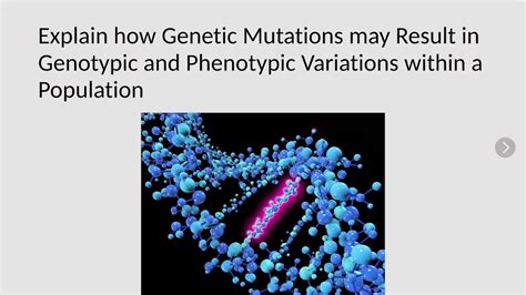 How Genetic Mutations May Result In Genotypic And Phenotypic Variation