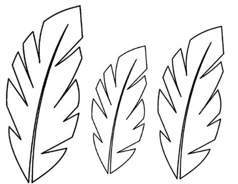 Plumas Pdf