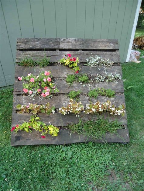 Vertical Garden Pallet Diy At Hamish Mitford Blog