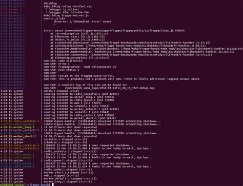Bench Not Starting Frappe Framework Frappe Forum