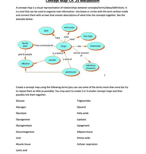 Concept Map Ch 25 Metabolism A Concept Map Is A Visual Representation Of Relationships Between