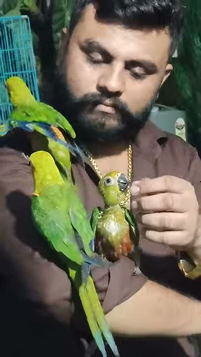 Jandiya Canur Youtube