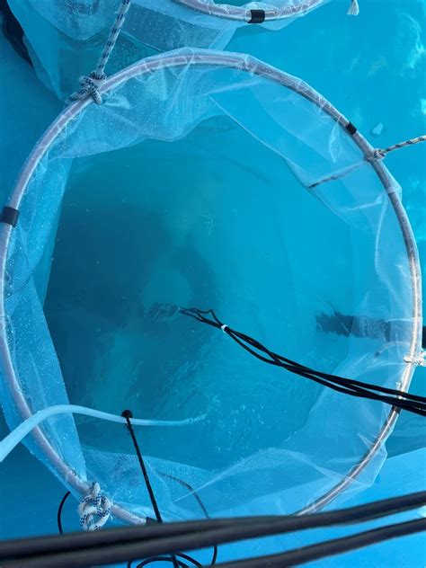 Testing Alkalinisation As A Potential Mitigation Tool For Ocean Acidification 9th February 2023