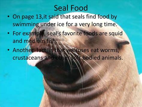 Ppt All About Seals Powerpoint Presentation Free Download Id 2456610