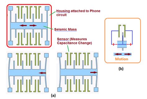 Accelerometer Basics