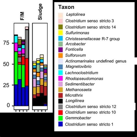 Microbial Communities Compositions And Evolution The 20 Most Download Scientific Diagram