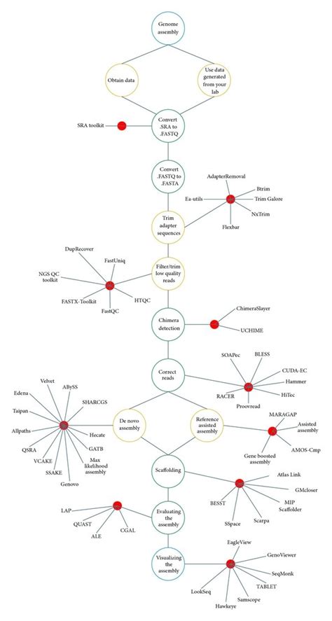 Flow Chart For Dna Assembly Pipeline Some Commonly Used Tools Are