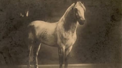 Vintage Girdle Search Xnxx Com