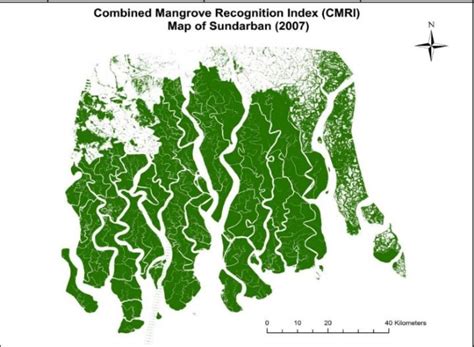 Figure 4 From Sundarbans Mangrove Mapping And Above Ground Biomass Estimation Using Earth