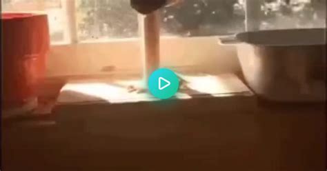 Task Failed Successfully Album On Imgur