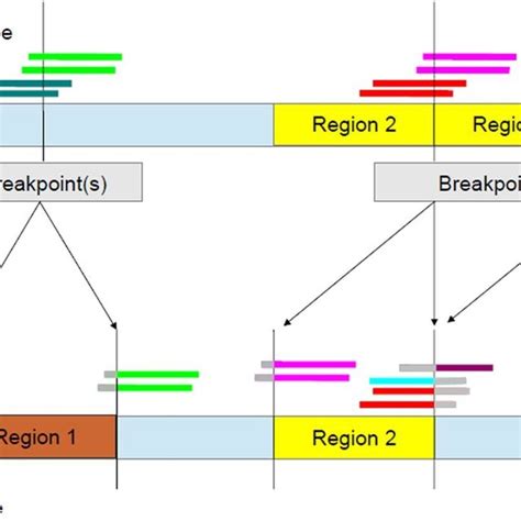 Identifying Breakpoints Using Split Read Information In The Reference Download Scientific