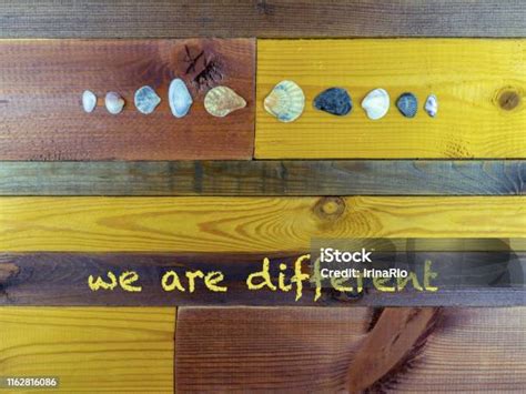 다양한 크기와 모양의 조개 차이의 결합의 개념 얼룩의 다른 색상으로 처리 나무 테이블에 개념에 대한 스톡 사진 및 기타 이미지 Istock