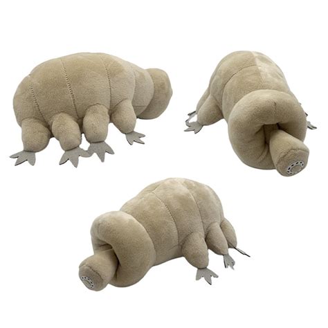 25cm Simulation Bug Strongest Marine Life Plush Toy Soft