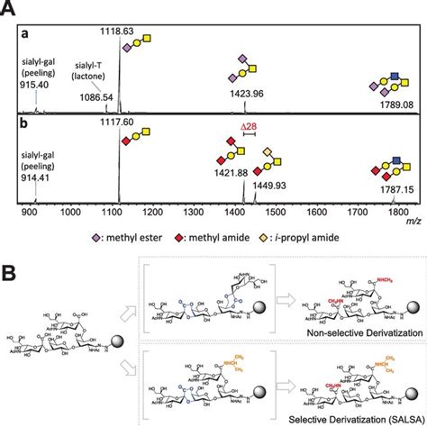 Maldi Tof Ms Spectra Of O Linked Glycans Following Methyl Download Scientific Diagram
