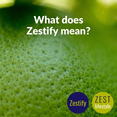 Introducing Zestify A New Employee Wellbeing Platform Rachel