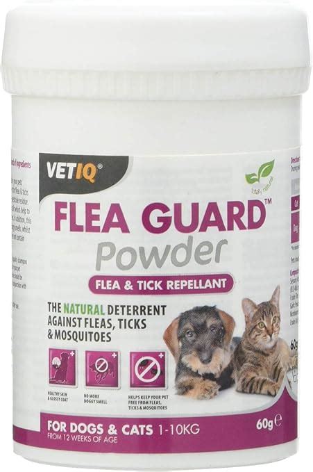 Can Garlic Be Used To Treat Fleas On Dogs