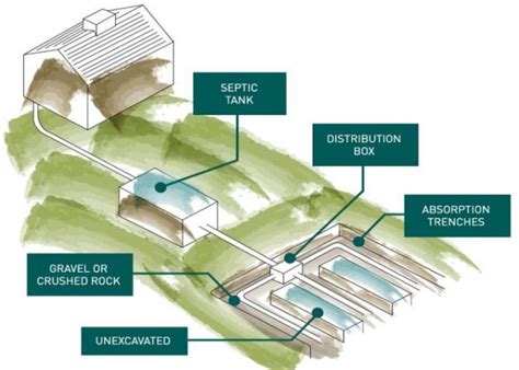 How Long Do Septic Trenches Last 🟢 Express Wastewater Solutions
