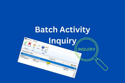 How To Perform A Batch Activity Inquiry In Gp Dynamics Gp Support In Pa Cssi Technologies Llc