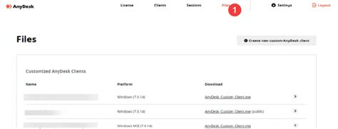 Custom Package Creation In Anydesk Specifying Versions For V1 And V2