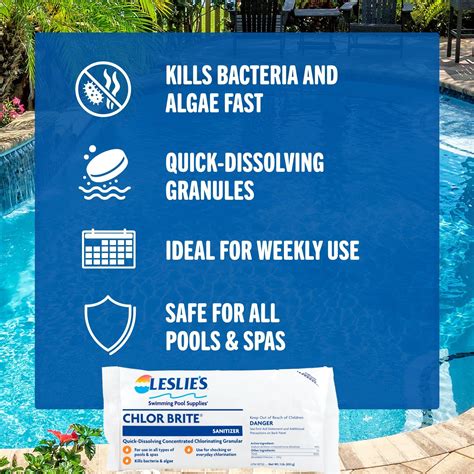 Leslies Chlor Brite Granular Chlorine Spa Shock 2 Lbs