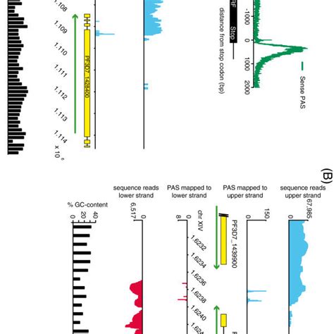 Flowchart Of Strand Specific Rna Seq Library Preparation A