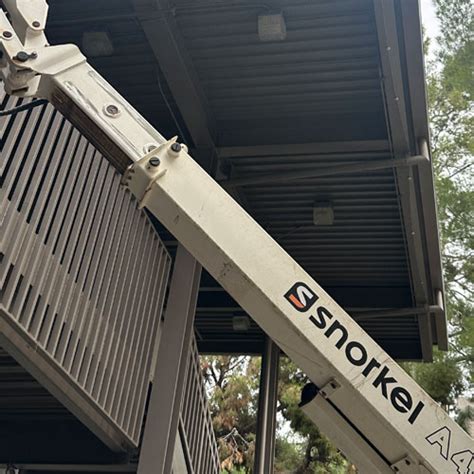 Bird Netting Installation In Los Angeles Rayaccess Inc