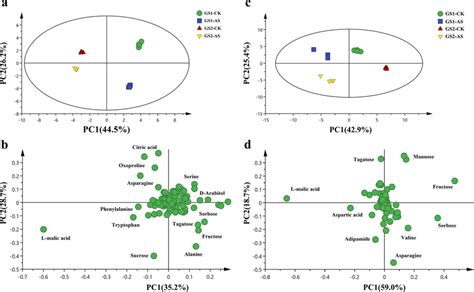 Principal Component Analysis And Loading Plots Of Metabolites In Two