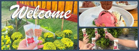 Plc Analog Input Output Moduleanalog Io Moduleplc Io Module