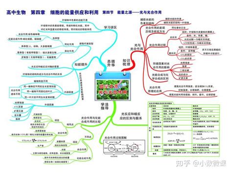 最全高中生物思维导图（45张高清大图）扫清高中三年知识点！知识串联｜高效复习｜考试提分｜可下载打印 知乎