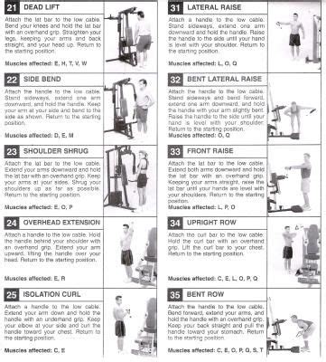weider 2 | Workout chart, Gym workout chart, Home gym exercises
