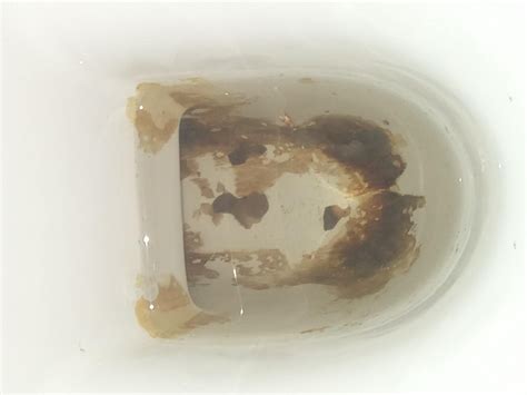 How Do I Get Rid Of These Brown Stains In The Toilet Thats Been Unused