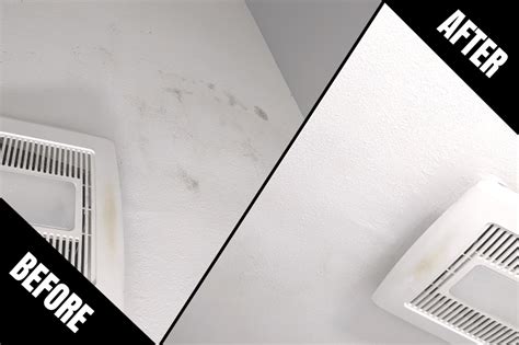 How To Get Rid Of Bathroom Mold On Ceiling Artcomcrea