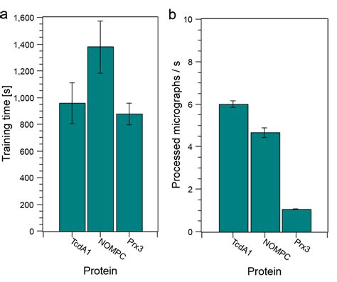 computational efficiency statistics of training and particle selection